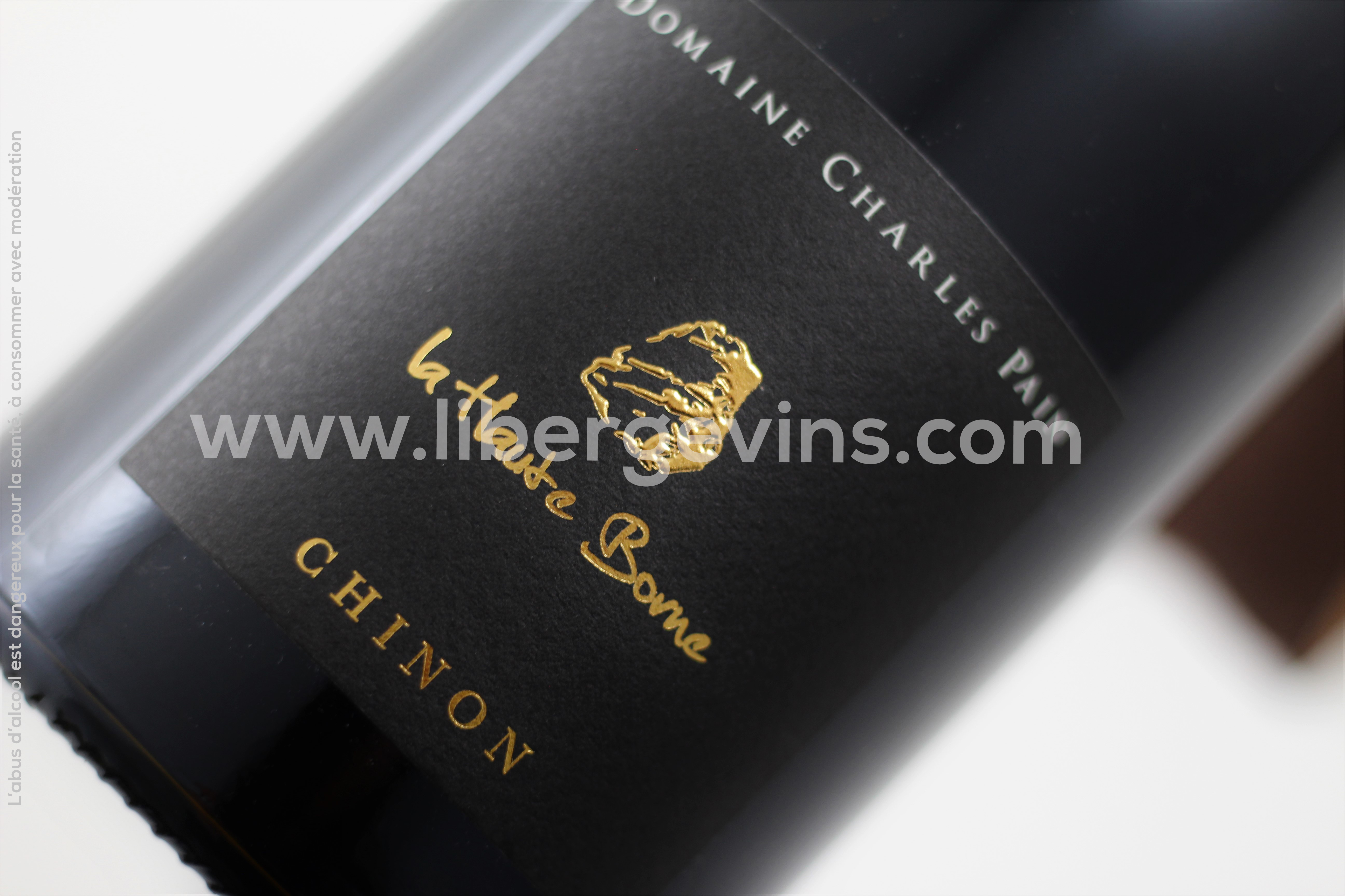 DOMAINE CHARLES PAIN - CHINON AOP - LA HAUTE BORNE 2021 ROUGE - BIO ...